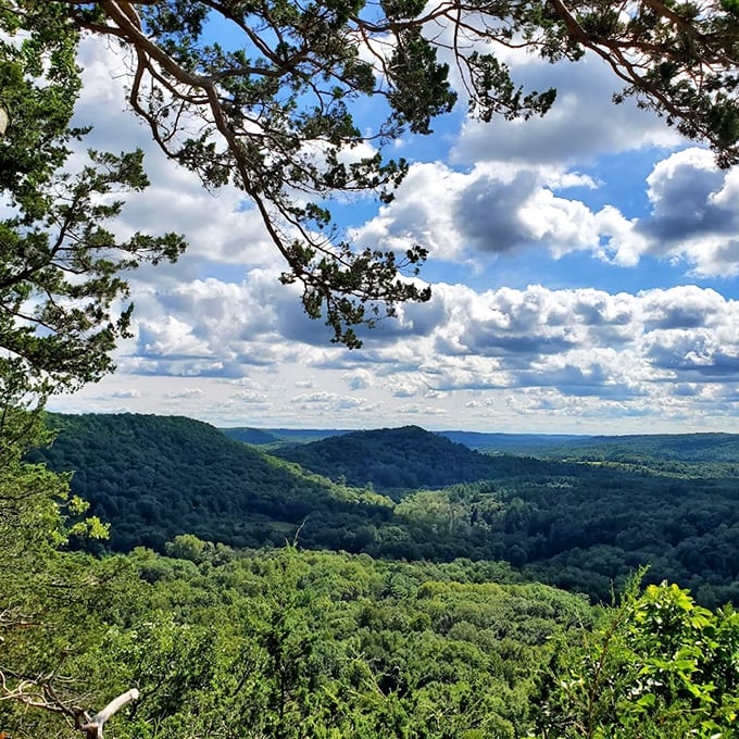 Green dreams and leafy scenes! Wildcat Mountain's lush landscape is like stepping into a fairy tale &ndash; no magic wand required.