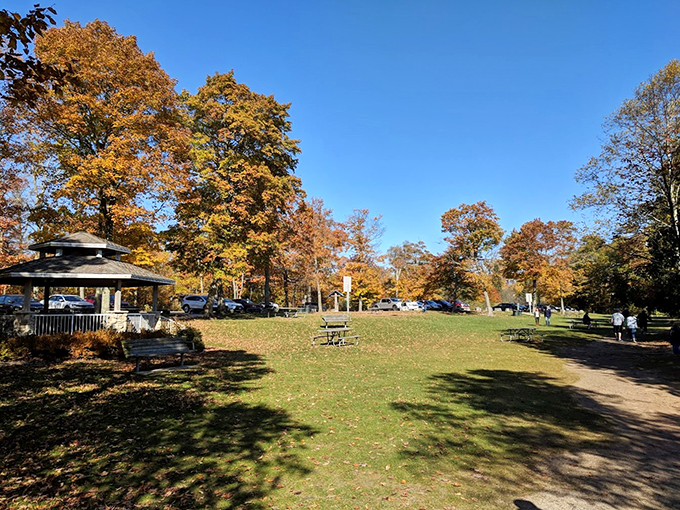 Autumn's canvas: A picturesque park scene with golden foliage, a welcoming gazebo, and nature enthusiasts enjoying the crisp fall air.