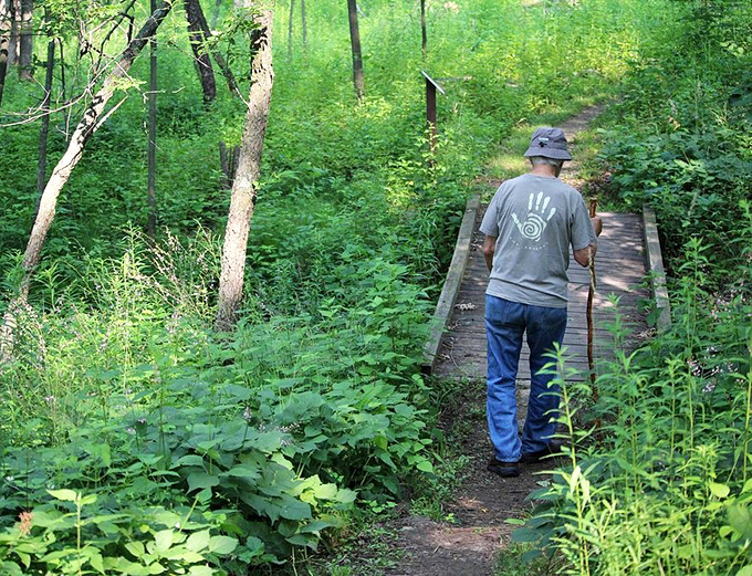Winding trails through nature's gallery. It's like a choose-your-own-adventure book, but with better views!
