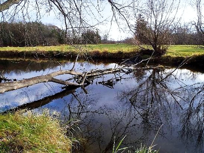 Fall on the Ice Age Trail: Where the leaves crunch underfoot and you suddenly understand why people write poetry about autumn.