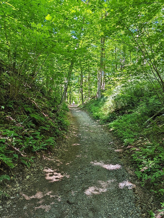 Trails winding through forests and along shores: It's like Mother Nature's own treasure hunt.