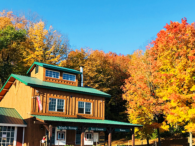 At Shelburne Sugarworks, every tour is a sweet adventure. Indiana Jones, eat your heart out (with maple syrup, of course).