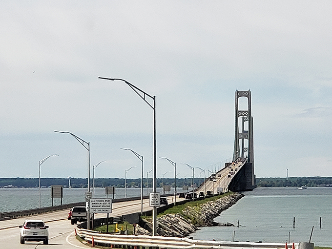 A bird's-eye view reveals St. Ignace's stunning harbor, where every dock holds summer memories.