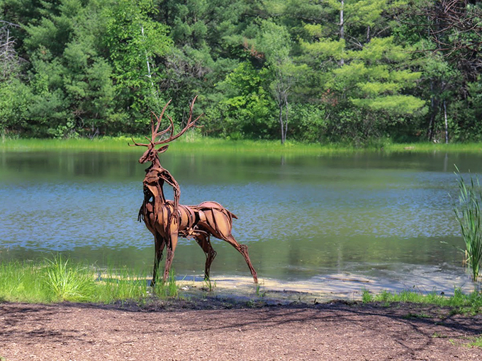 Woodland wonders and metallic marvels. It's like Mother Nature decided to curate an outdoor museum.