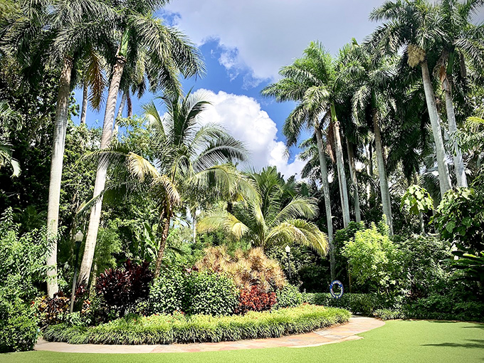 Koi-zy gathering! These colorful fish are having the ultimate underwater block party.