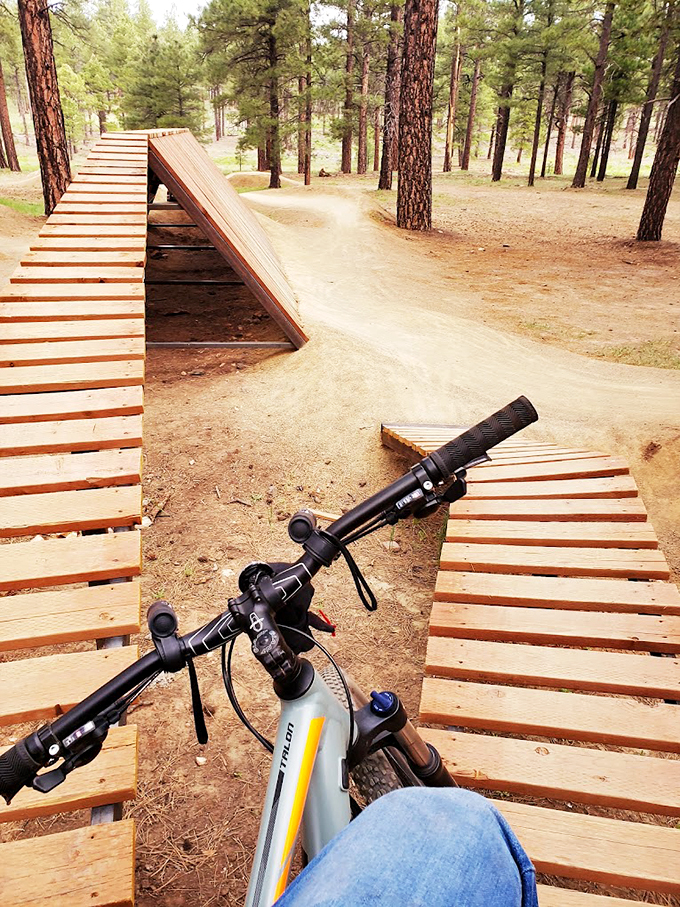 Two-wheeled adventure awaits! This bike trail is like nature's roller coaster, minus the long lines and overpriced snacks.