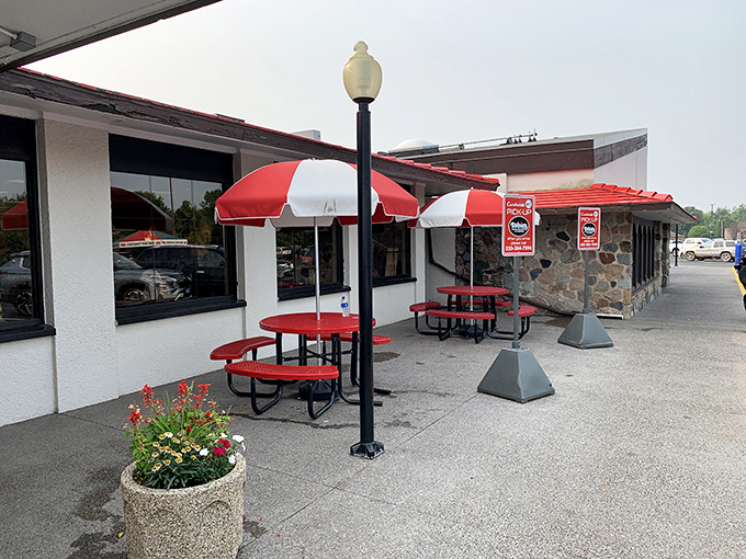 Alfresco feasting at its finest - where fresh air meets fresh pastries.