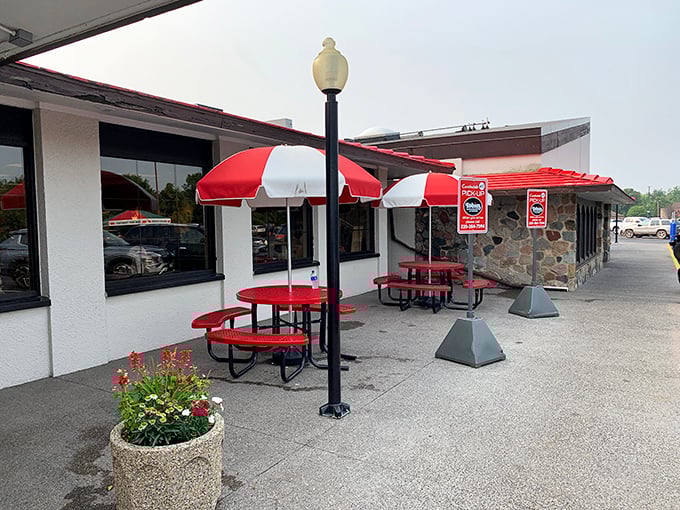 Al fresco feasting at its finest - where fresh air meets fresh pastries.