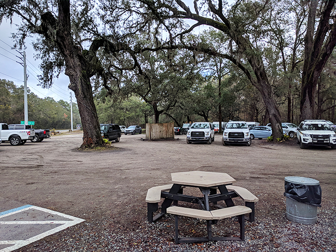Park it here for a flavor adventure. These trees have seen more BBQ pilgrimages than a Memphis highway.