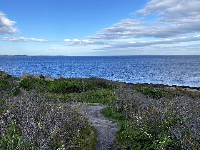 Ocean as far as the eye can see: Maine's version of infinity and beyond. Buzz Lightyear would be jealous of this cosmic-level view.