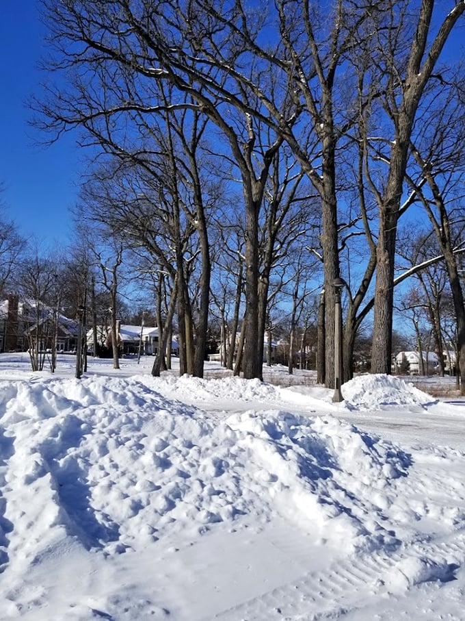 Winter wonderland or the world's most beautiful ice rink? At Lake Ellyn, why not both? Lace-up those skates and channel your inner Olympic dreamer.