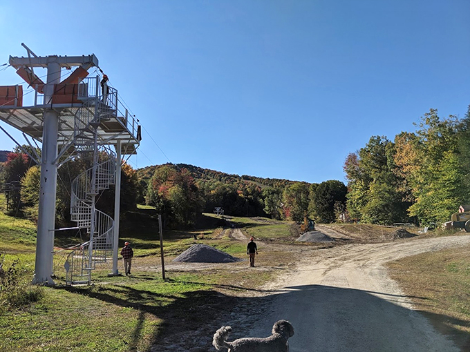 Going up? This zipline tower promises thrills and chills &ndash; minus the frostbite of winter skiing.