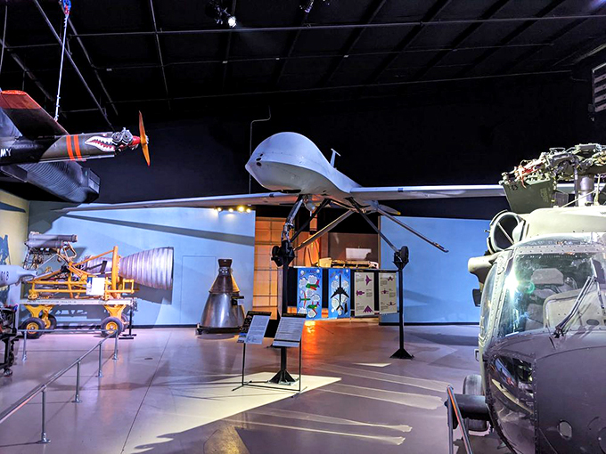 Vintage planes rest peacefully in their climate-controlled home, each one preserved like a time capsule of aviation history. 