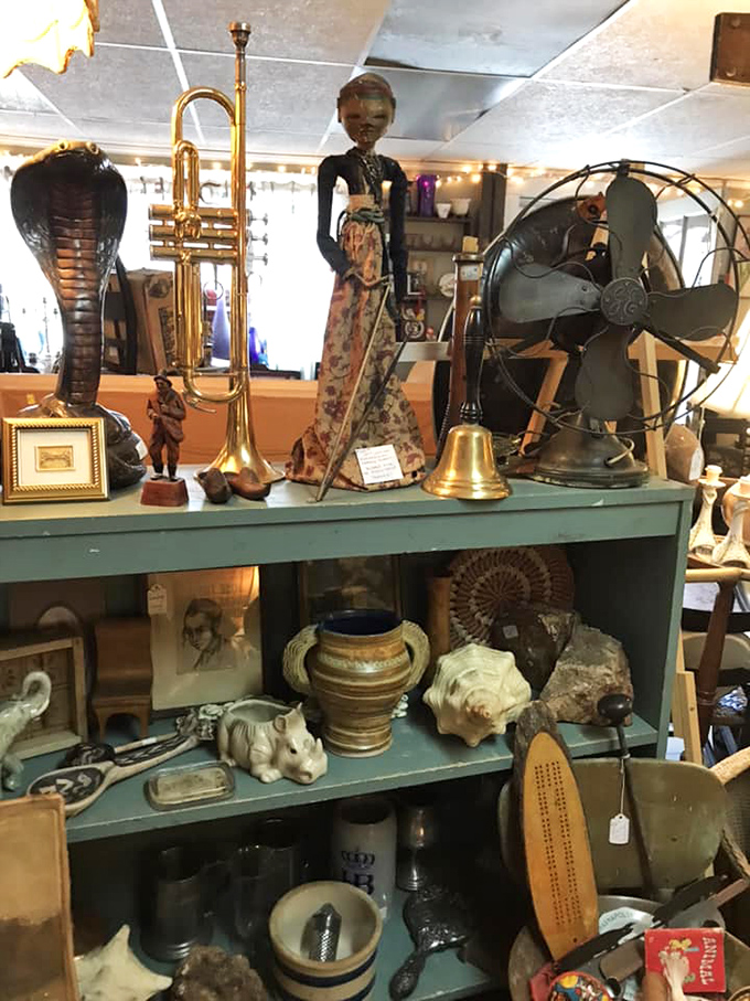 From brass trumpets to vintage fans, this eclectic display proves one person's obsolete technology is another's artistic statement.
