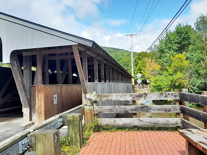 Front-row seats to nature's greatest hits! This bench offers the best view in town, no ticket required. Just BYO hot cocoa and cozy sweater.