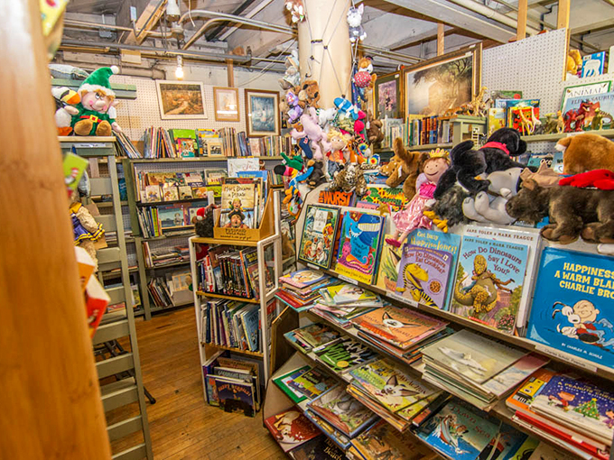 A wonderland of children's literature and plush friends creates the perfect nostalgic corner for young-at-heart collectors.