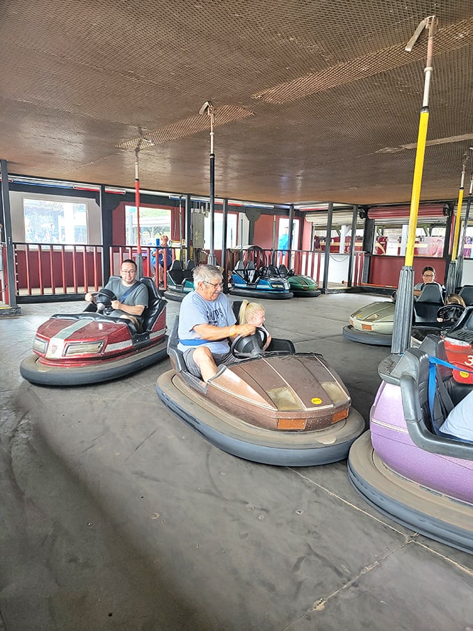 Buckle up for bumper-to-bumper fun! These classic bumper cars are like rush hour traffic, but with 100% more smiles.