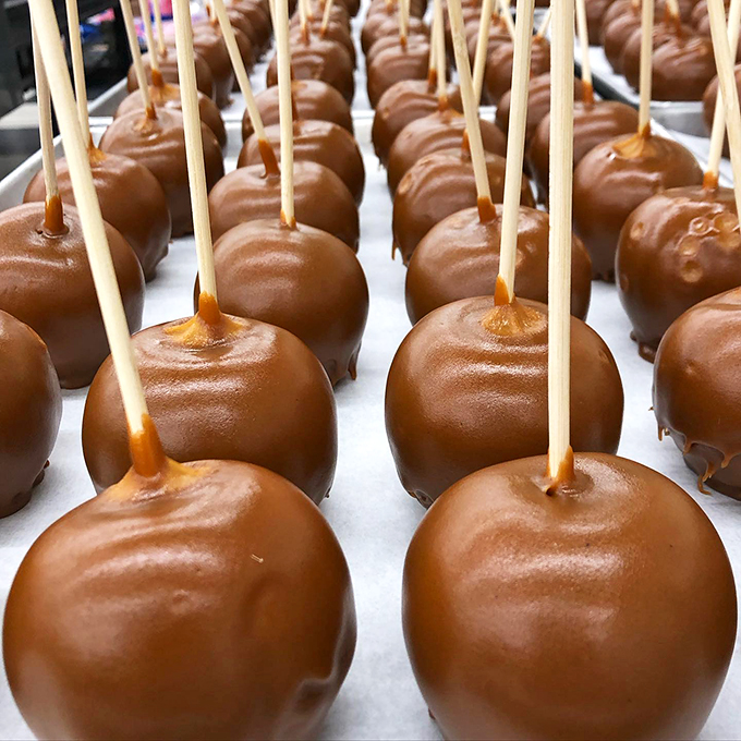 An army of caramel apples stands ready to conquer your cravings. Resistance is futile (and not recommended)!