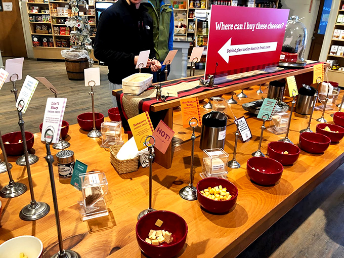 The tasting station: where decisions are made, favorites are found, and cheese dreams become reality.