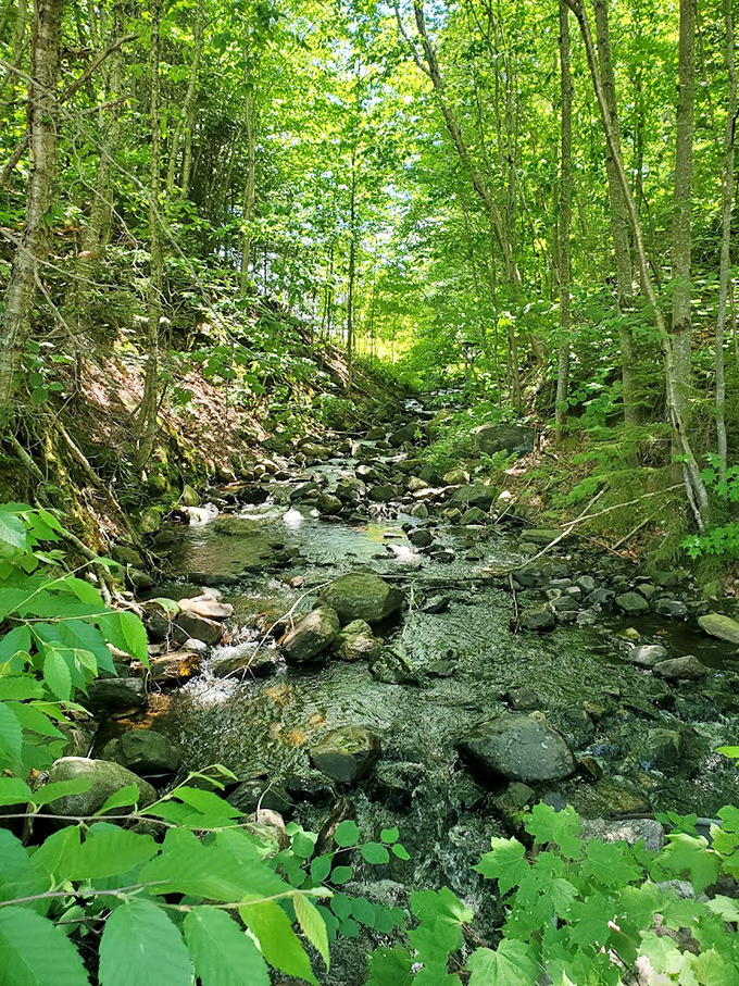 Nature's own water park: this bubbling stream creates a soundtrack that beats any meditation app hands down.