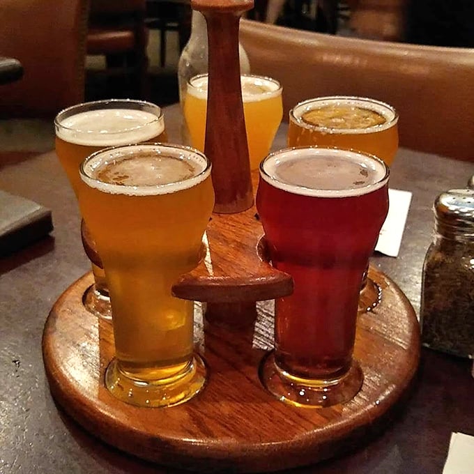 A flight of craft beers stands at attention, their varied hues promising a journey through Maine's finest brewing traditions.