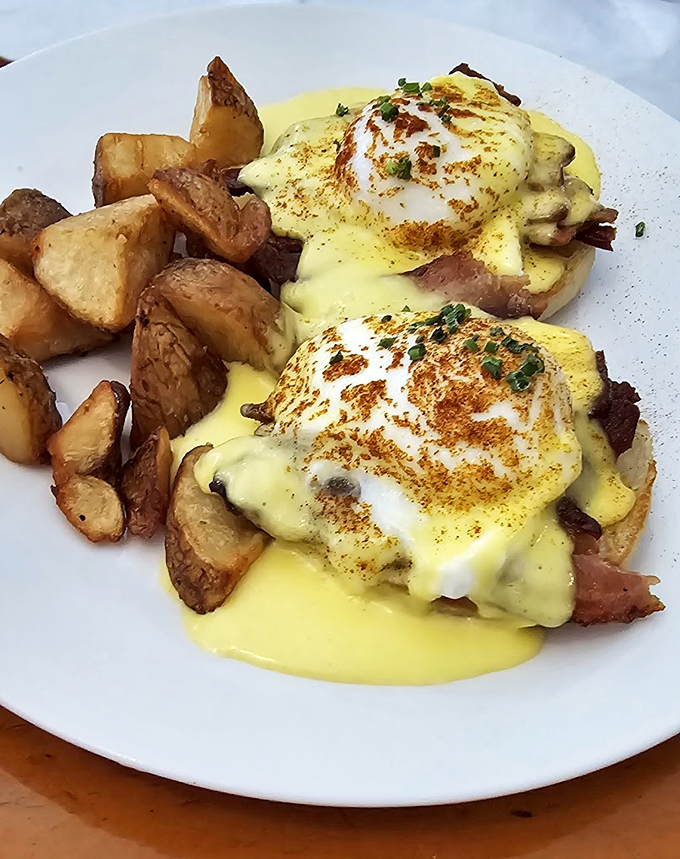 Hollandaise sauce drapes these eggs Benedict like a velvet curtain, while home fries wait in the wings.