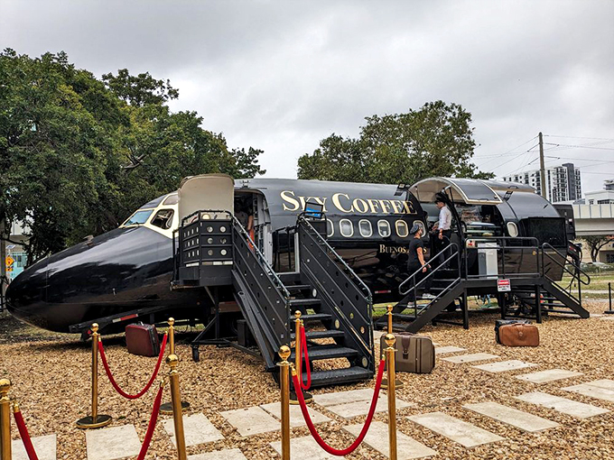 This retired Delta aircraft found its true calling as Miami's most Instagram-worthy coffee destination.