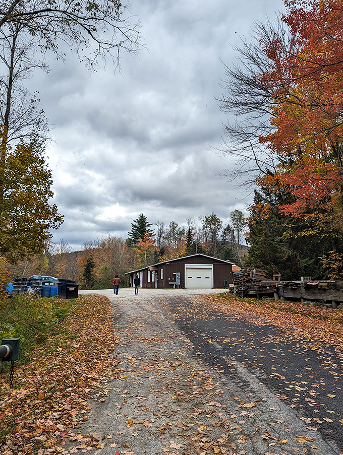 Autumn's grand finale: Nature's confetti blankets the ground, while the maintenance shed stands ready for whatever the seasons bring next.