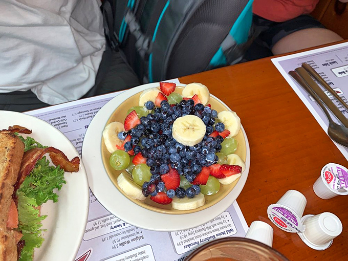 Fresh fruit that looks like summer decided to throw a party on your plate.