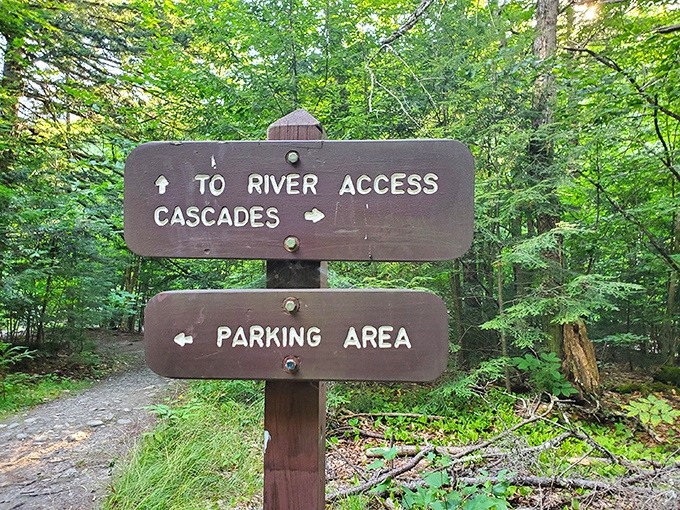 Choose your own adventure: River or cascades? Either way, you're in for a treat that beats any theme park ride.