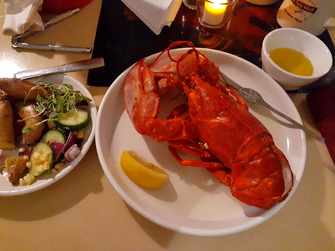 A classic Maine lobster, red as a lighthouse and twice as iconic. Some traditions need no improvement. Photo credit: Mary R Lonski
