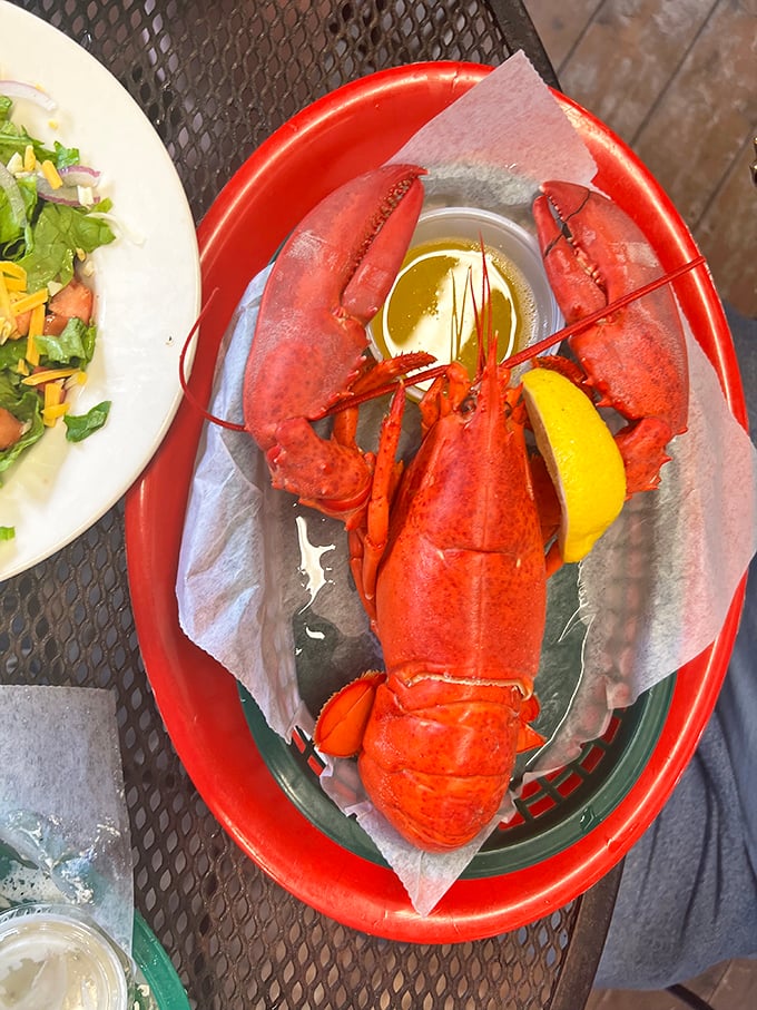 The star of the show! This lobster is ready for its close-up, and trust me, you're ready to dig in.