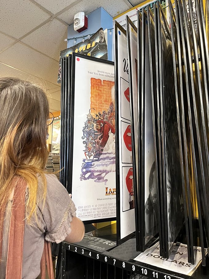 Lights, camera, action! These movie posters are like windows into other worlds, inviting you to step through the silver screen.