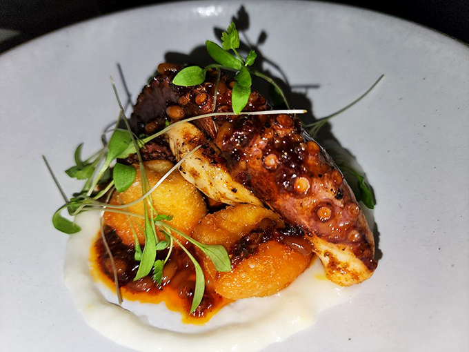 Grilled octopus with citrus brings Mediterranean flair to Maine's shores, elegantly plated with seasonal garnishes. Photo credit: Calvin S.