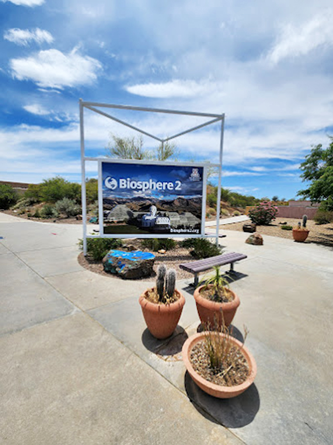 Desert-adapted plants in terracotta pots offer a taste of the environmental research happening inside.