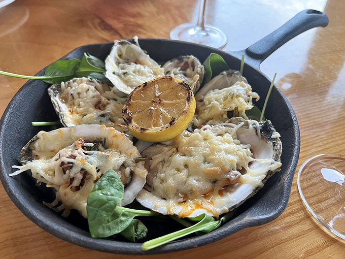 These baked oysters are wearing a blanket of melted cheese like a cozy winter sweater.
