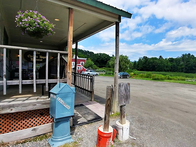 Pull up and park your appetite. At Chelsea Royal, every meal is a road trip to flavor town, no GPS required.