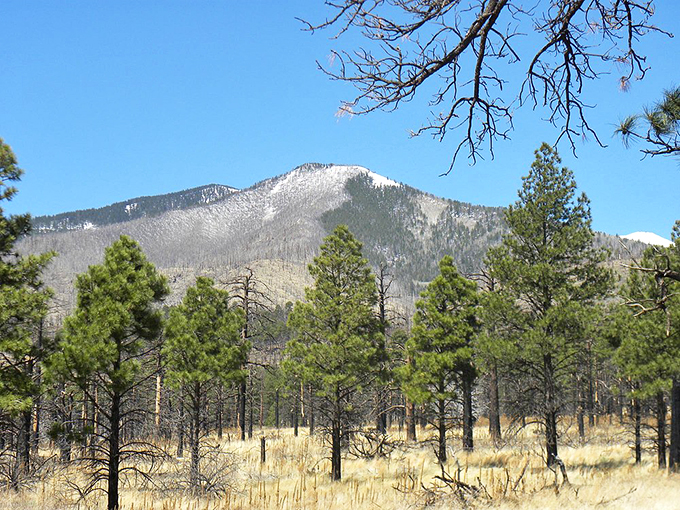 Snow-capped sentinels standing guard. These peaks are like nature's version of the Avengers, minus the capes and catchphrases. Photo credit: Janice R