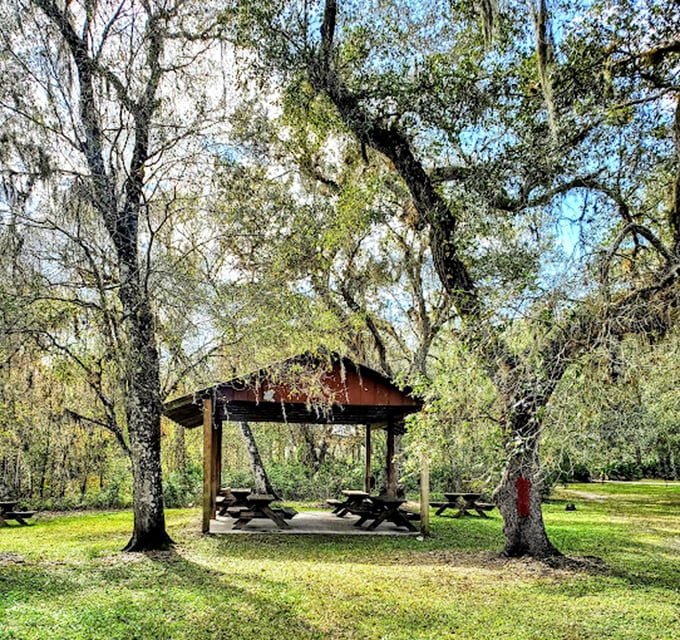A shaded pavilion offers respite from Florida's sunshine, perfect for royal feasts or commoner's lunches alike.