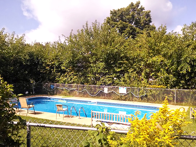 Who knew paradise had a pool? After a day of apple-picking, take a dip surrounded by nature's finest fruit trees.