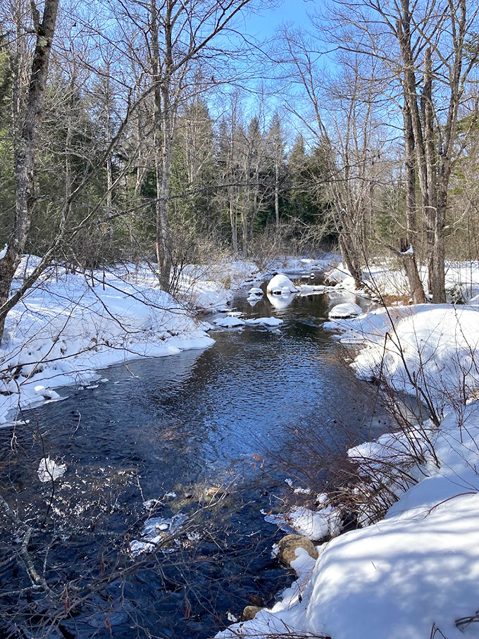 Winter transforms the landscape into a monochrome masterpiece, with snow-capped rocks dotting the flowing stream.