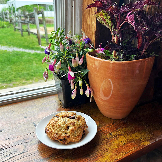 A perfectly golden scone poses by the window, while fuschia flowers provide the perfect supporting cast.