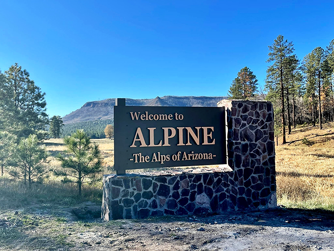 Gateway to adventure: Alpine's welcome sign promises more than just a town - it's an invitation to explore "The Alps of Arizona."