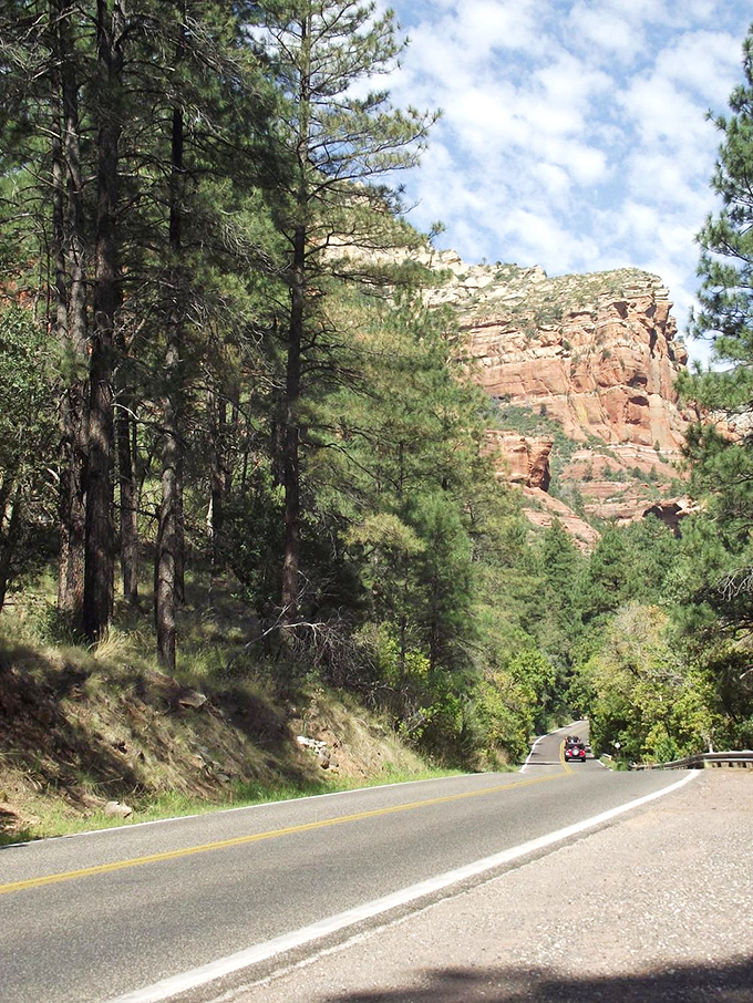 Tall pines stand guard over the winding road, offering welcome shade and a touch of alpine magic.