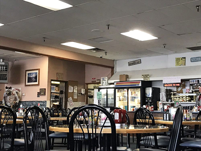 Where natural light meets nostalgic diner charm, creating the perfect backdrop for your morning feast.