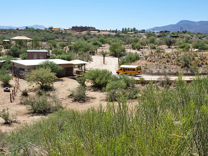 Behold, the Arizona savanna! This vista could easily double as an African plain, minus the occasional saguaro cameo.