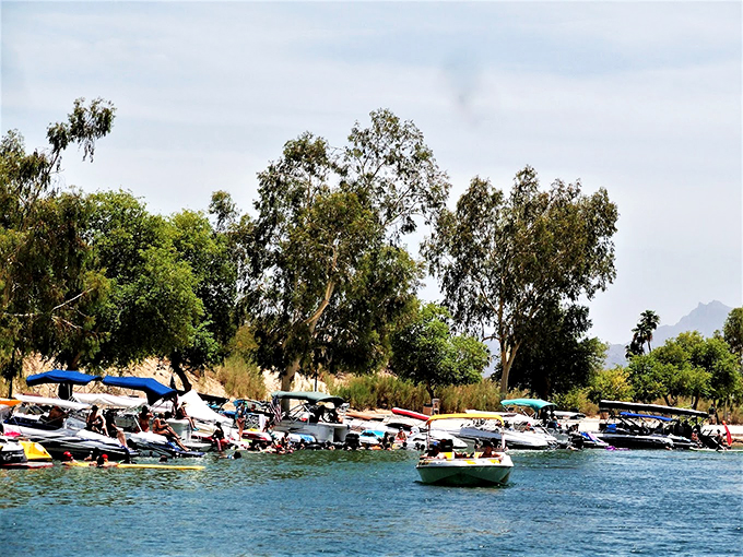 Forget the Griswolds&mdash;this is how you do a proper family vacation. Lake Havasu style, baby!