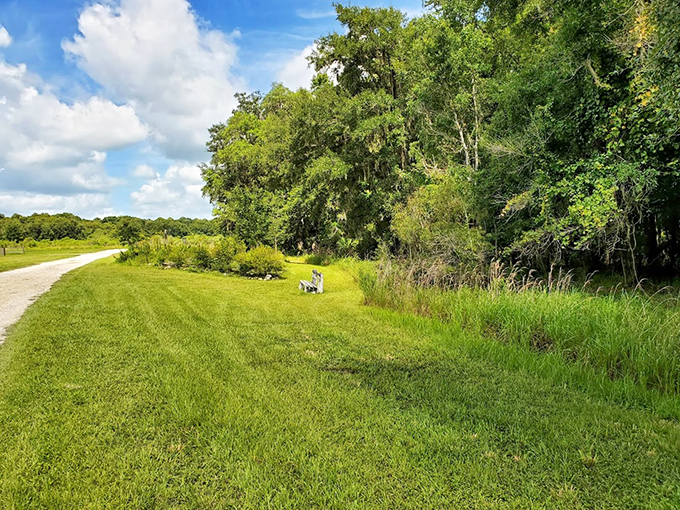 Who needs a red carpet when you've got a white gravel runway? Colt Creek's trails are ready for their fashion week debut.