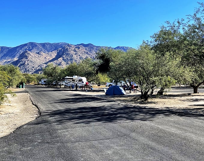 Camping with a view: where your 'room' comes with a million-star rating. No room service, but the scenery more than makes up for it.