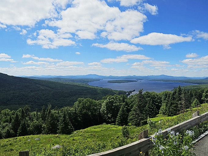 Fifty shades of green: A view so lush, it makes your neighbor's perfectly manicured lawn look like a sad patch of AstroTurf.